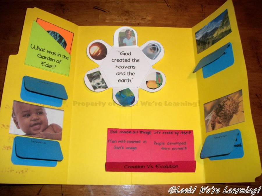 Creation lapbook - Look! We're Learning!