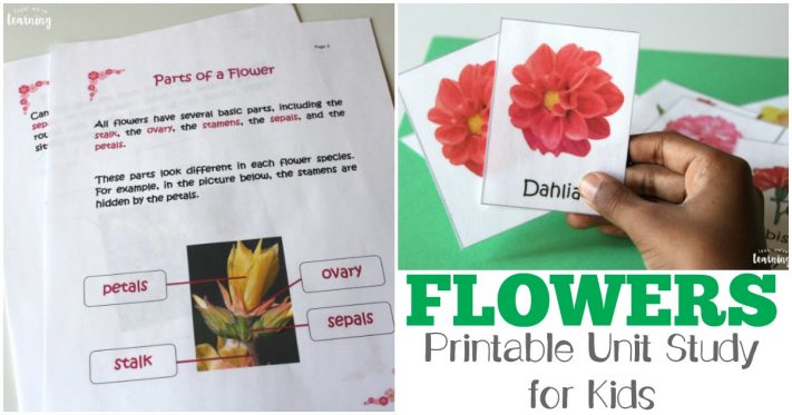 All About Flowers Printable Unit Study for Kids - Look! We're Learning!