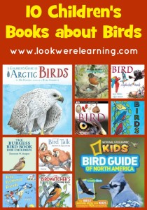 20 Lovely Children's Books about Birds - Look! We're Learning!