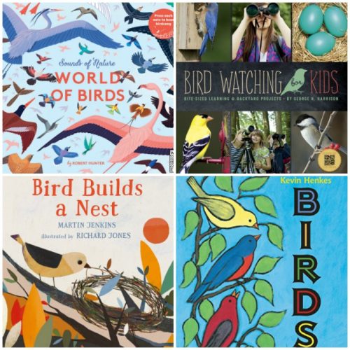 20 Lovely Children's Books about Birds - Look! We're Learning!