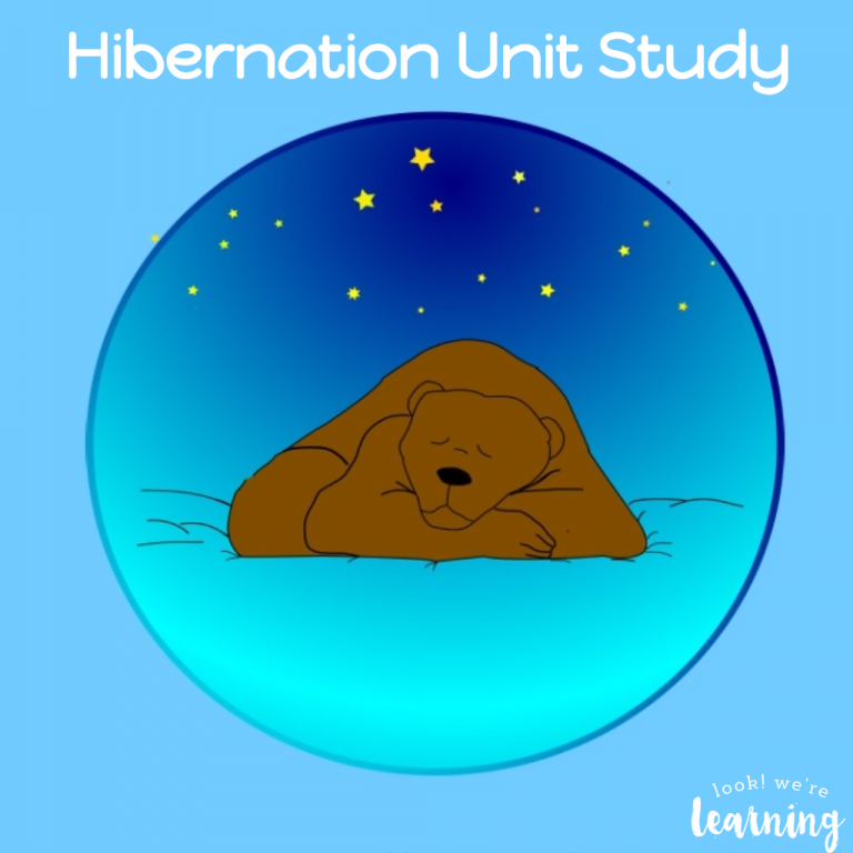 Simple Hibernation Unit Study for Elementary - Look! We're Learning!