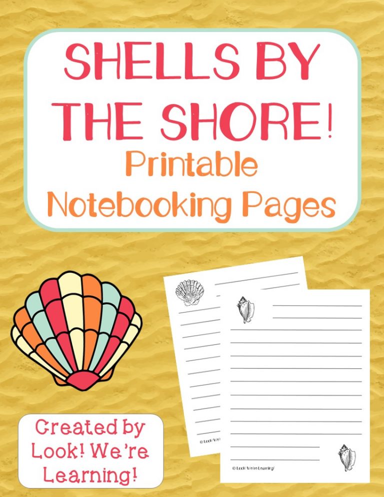 Unit Studies for Kids: Beach Unit for Kids - Look! We're Learning!