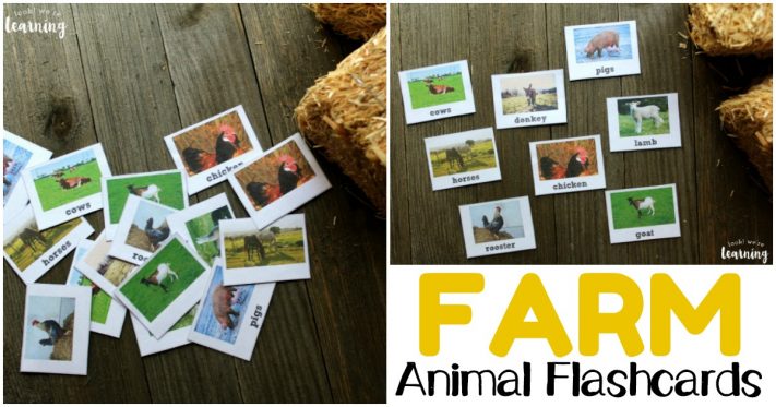 Printable Farm Animal Identification Flashcards for Children - Look! We ...