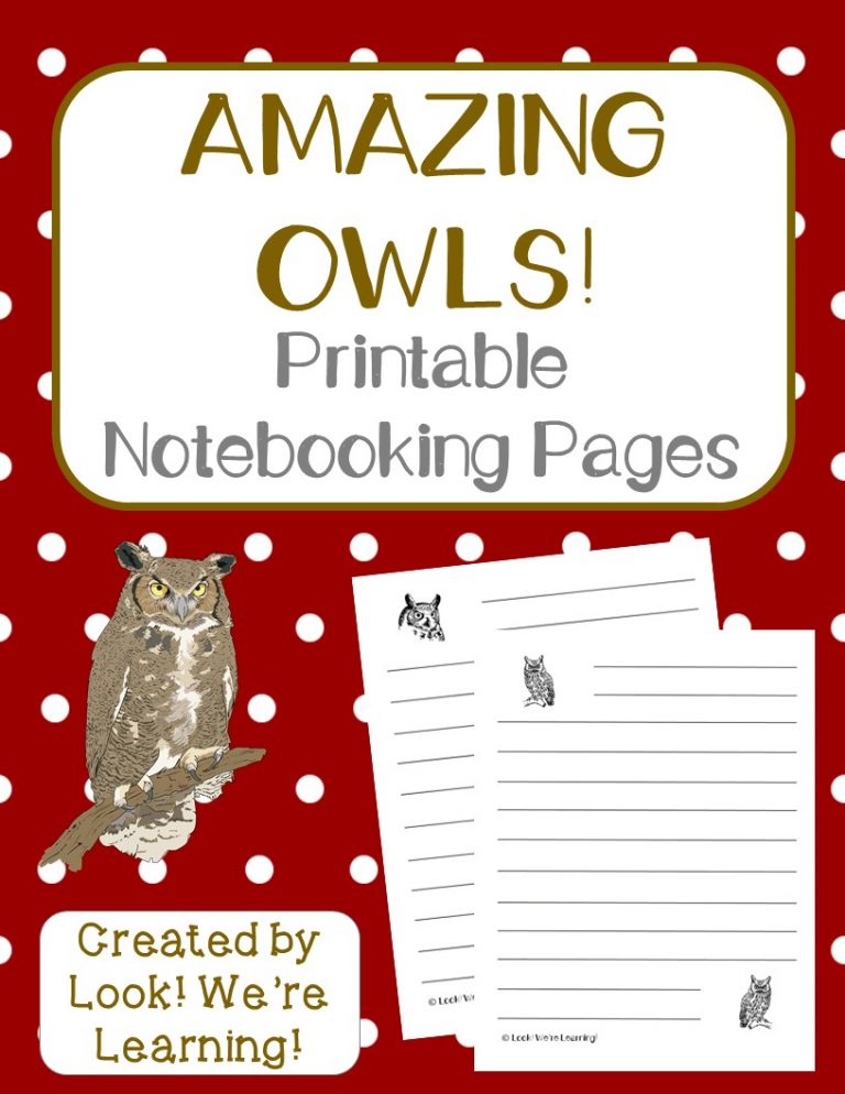 Owl Notebooking Pages for Kids - Look! We're Learning!