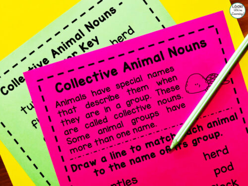 Simple Turtles Unit Study for Kids - Look! We're Learning!