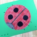 Easy Coffee Filter Ladybug Craft - Look! We're Learning!