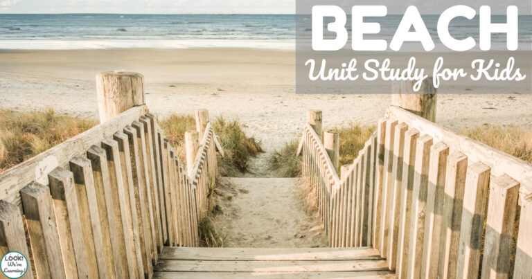 Unit Studies for Kids: Beach Unit for Kids - Look! We're Learning!