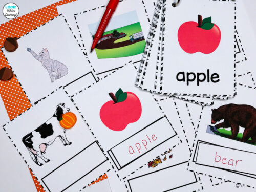 Fall Sight Words Flashcards - Look! We're Learning!