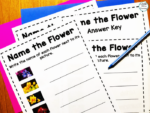 Early Elementary Flower Printables for Kids - Look! We're Learning!