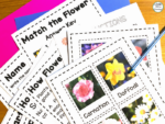 Early Elementary Flower Printables for Kids - Look! We're Learning!