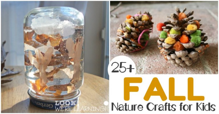 Fall Nature Crafts for Kids to Make This Autumn - Look! We're Learning!