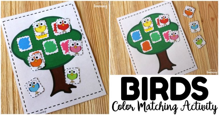 Colorful Birds Color Matching Activity for Kids - Look! We're Learning!