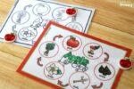 Apple Life Cycle Sequencing Activity - Look! We're Learning!