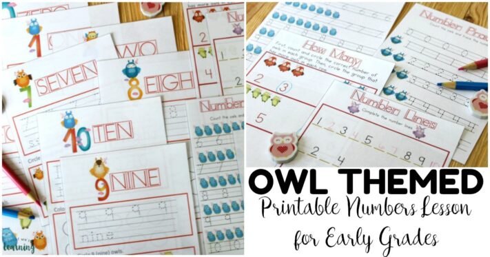 No-Prep Owl Preschool Number Worksheets - Look! We're Learning!