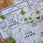 A Frog's Life! Frog Life Cycle Sequencing Activity - Look! We're Learning!