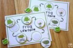 A Frog's Life! Frog Life Cycle Sequencing Activity - Look! We're Learning!