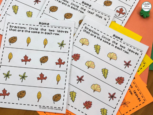 Leaf Look Alikes! Same or Different Leaf Worksheets - Look! We're Learning!