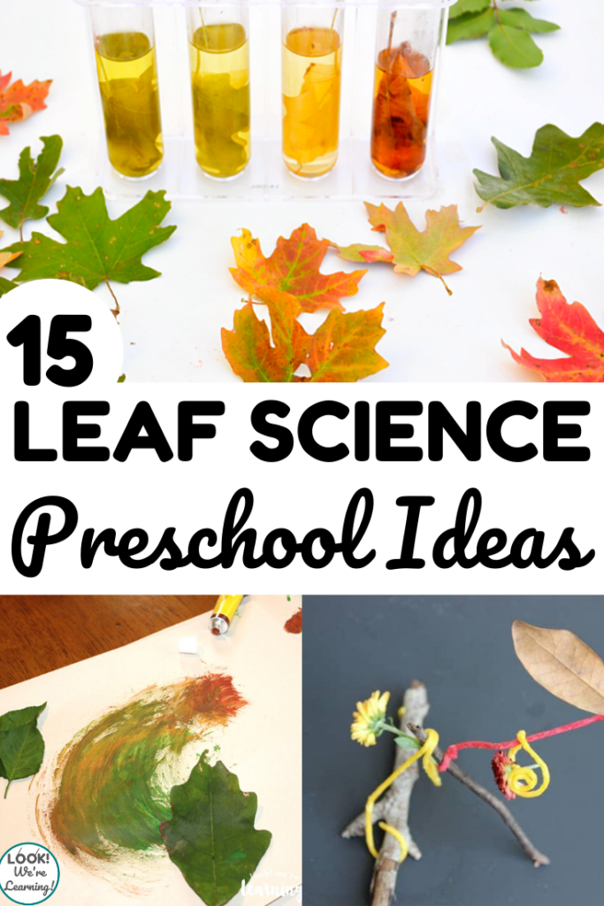 Science Lesson For Kids