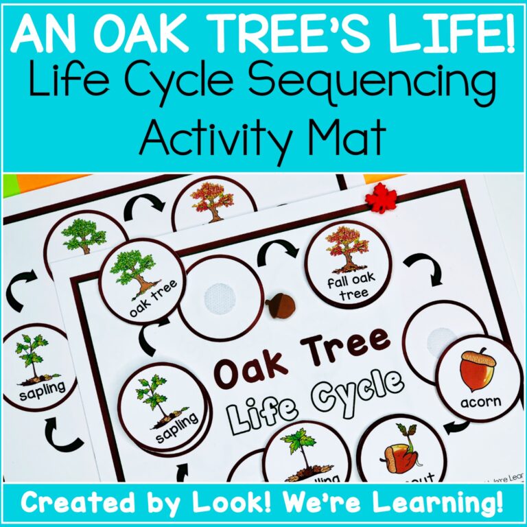 Oak Tree Life Cycle Sequencing Activity - Look! We're Learning!