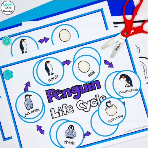 Penguin Life Cycle Sequencing Activity for Kids - Look! We're Learning!