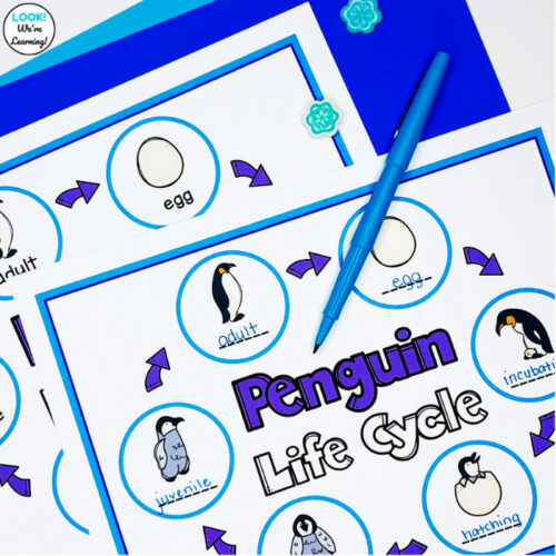 Penguin Life Cycle Sequencing Activity for Kids - Look! We're Learning!