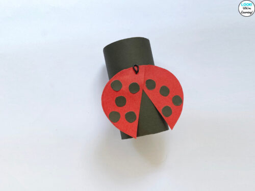 Easy Toilet Paper Roll Ladybug Craft for Kids - Look! We're Learning!