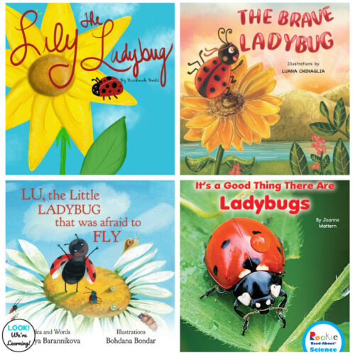 20 Fun Ladybug Books for Kids to Read - Look! We're Learning!