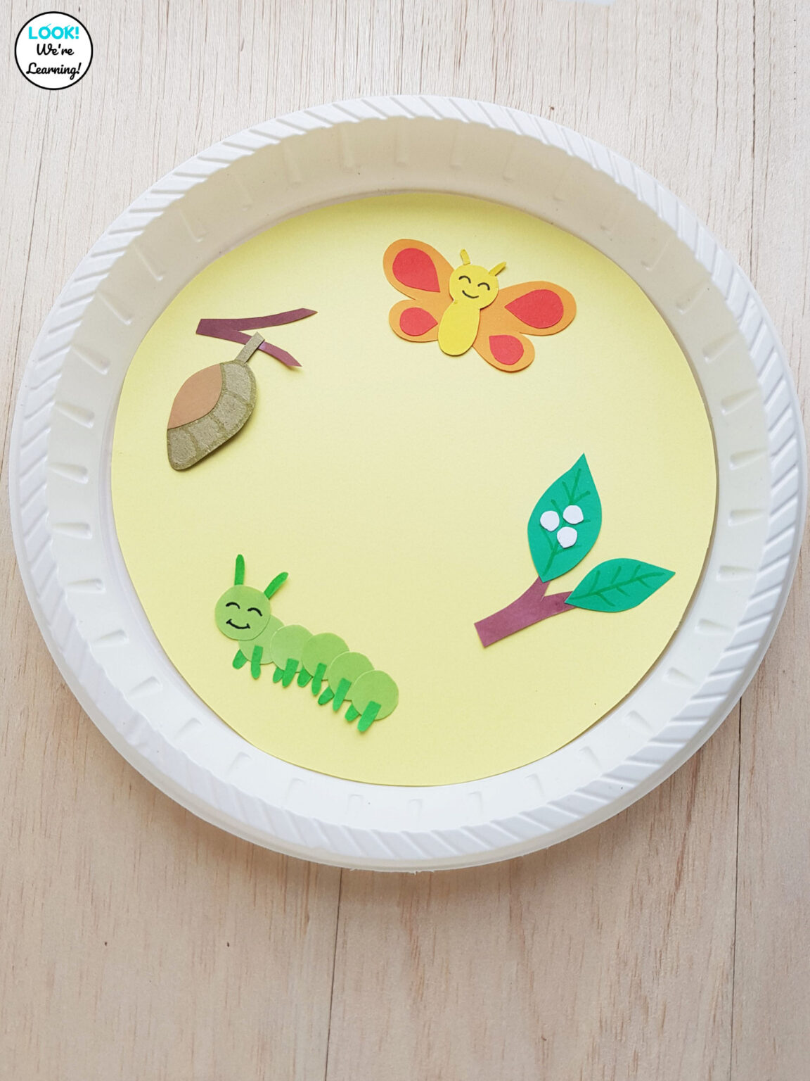 Paper Plate Butterfly Life Cycle Craft for Kids - Look! We're Learning!