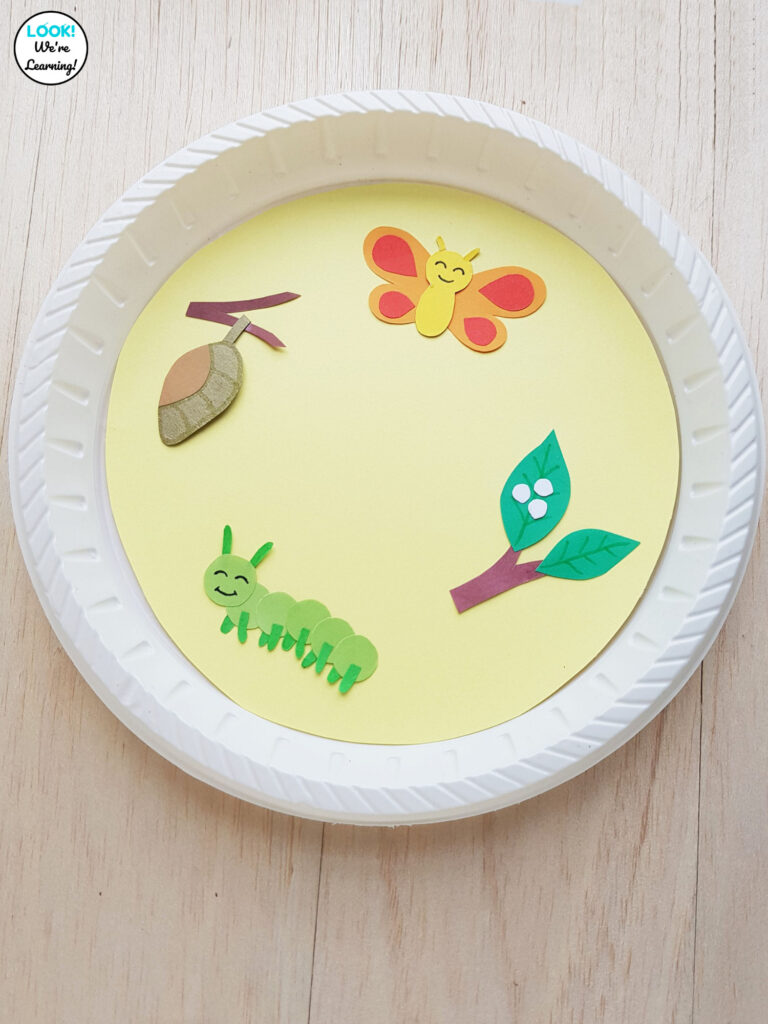 Paper Plate Butterfly Life Cycle Craft for Kids - Look! We're Learning!